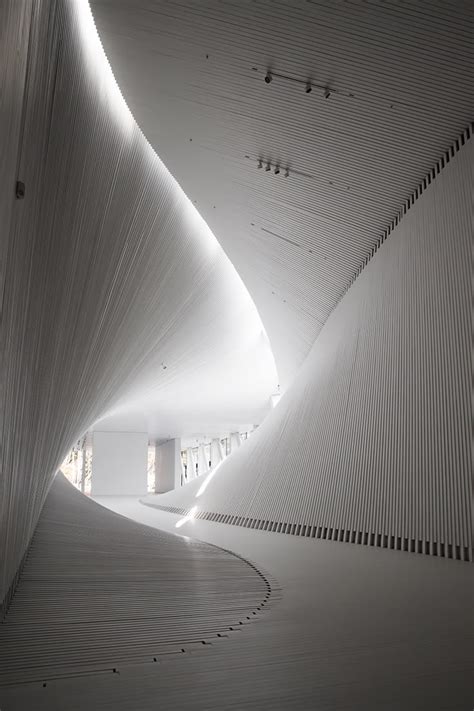 Fibonacci Spiral Fibonacci Spiral Geometry Sacred Geometry Art Sacred Geometry Tattoo Flowe