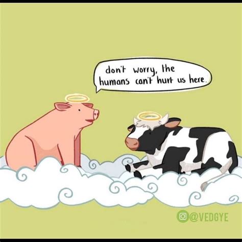 Best Vegan Memes That Will Make You Smile