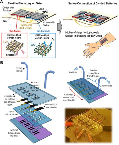 Recent Advances In Enzymatic Biofuel Cells Enabled By Innovative