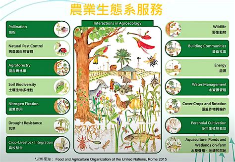 顧好農田生態系，農民賺更多？學界籲儘速量化農業生態系服務，建立碳權回饋機制花蓮環保迪士尼 Hualien Environmental Disney