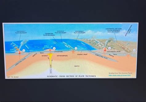 Solved 1 04 Examine Figure 1 Above Which Type Of Magma Is