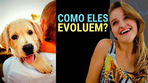 OS ANIMAIS TÊM ALMA Visão espírita Fran te Explica YouTube