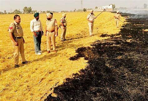 Punjab Initiates Criminal Proceedings Against 9 Officials Over Farm