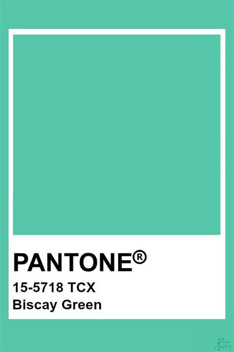 Pantone Biscay Green Kleurenpalet Pantone Kleuren