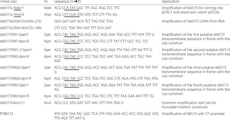 Oligonucleotide Primers Used In This Study Download Table