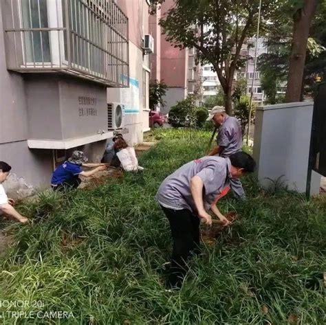 【创五星】龙安区锦绣社区：“小细胞”焕发大活力居民物业小区
