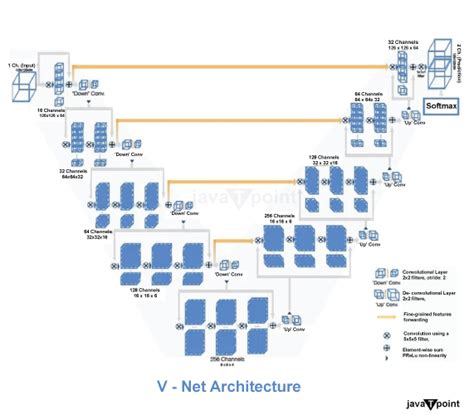 V Net In Image Segmentation Tpoint Tech