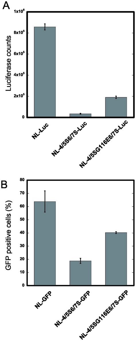 A 3x105 Cem Ss Cells Were Infected With Viral Titers Equivalent To 5