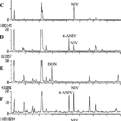 Total Ion Chromatograms Of Extracts Of G Zeae Cultures A Wild Type