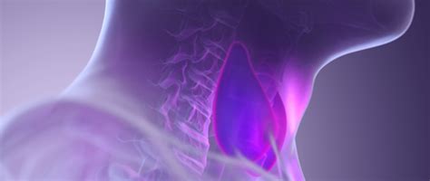 Hyperthyroïdie Et Grossesse Eurofins Biomnis