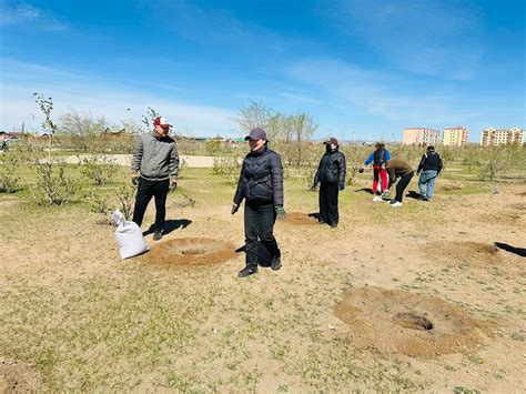 Хэнтий аймаг дахь Политехник коллеж