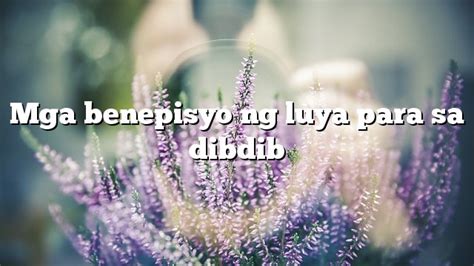 Mga Benepisyo Ng Luya Para Sa Dibdib Kaalaman