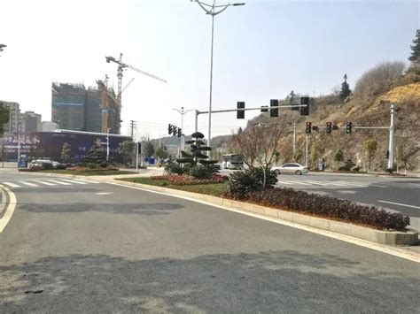 项目建设新蒲新区道路绿化景观提升工作全面完成