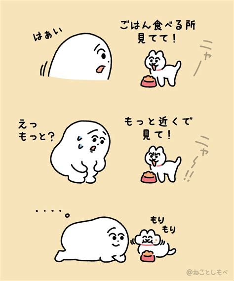 「至近距離で食事する所を見てて欲しい猫」ねことしもべの漫画
