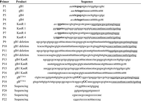 Oligonucleotide Primers Used In This Study Download Table