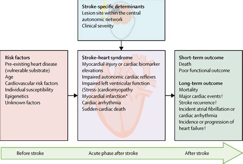 Stroke And Heart Disease