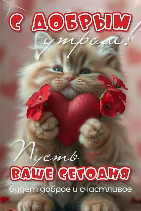 😃 С Добрым Утром Прикольные картинки 250 смешных позитивных открыток