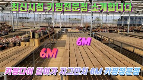 키핑다이가 자그만치 6m 엄청난 크기의 키핑다이 최신시설 대형 다이를 보유한 키핑전문점 키핑장 Youtube