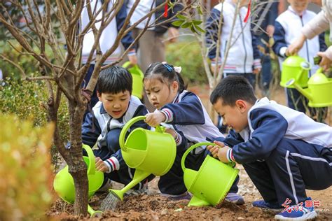 植树添绿 全民共筑生态梦 光明网
