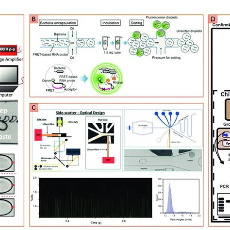 Diverse Microfluidic Approaches For Targeted Isolation Of Interested