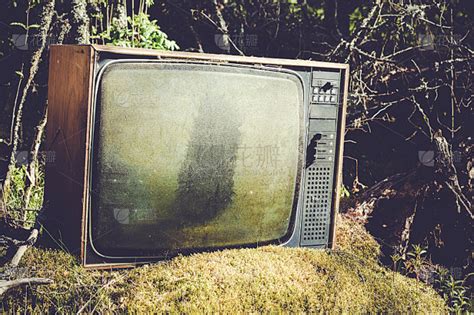 森林里的老式模拟电视
