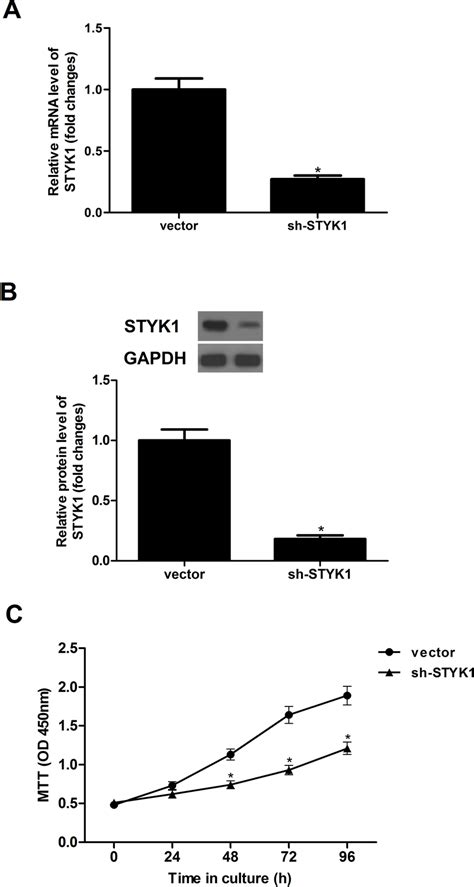 Knockdown Of Styk1 Inhibits The Proliferation Of Glioma Cells U87mg