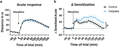 Increased Morphine Induced Locomotor Sensitization In Vta SstÀ Mice A