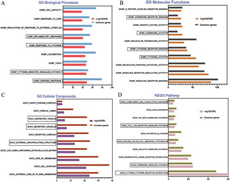 Immune Related Long Non Coding Rna Signature Determines Prognosis And