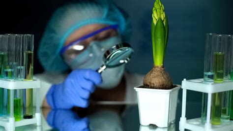 Devenir ingénieur agronome formations débouchés salaire