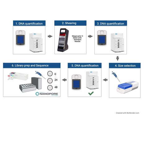Processing Frozen Archival Human Dna Samples For Large Scale Sqk Lsk114