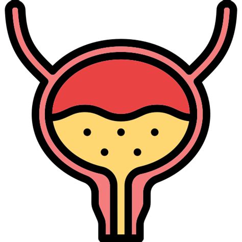 Bladder Generic Outline Color Icon
