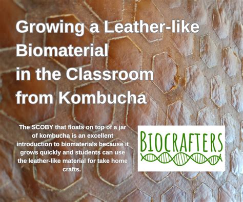 Growing A Leather Like Biomaterial In The Classroom From Kombucha 17