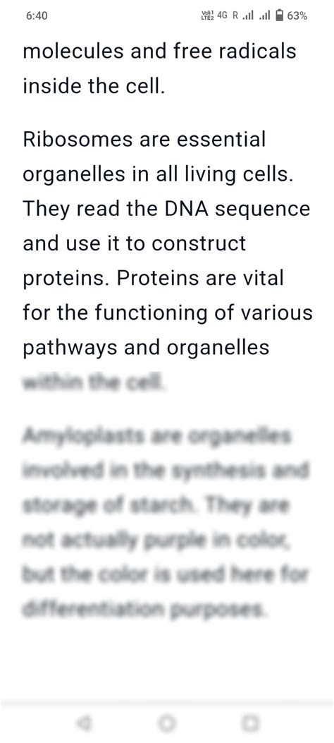 Solution Plant Cell Structure And Functionplant Cell Modelbasic