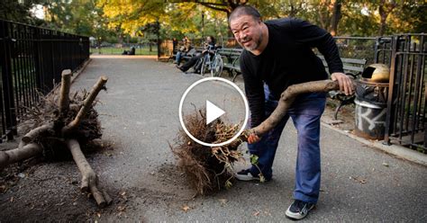 Stroll In The Park With Ai Weiwei The New York Times
