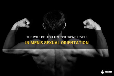 The Role Of High Testosterone Levels In Mens Sexual Orientation Medshun