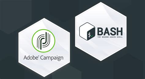 Shell Scripting In Adobe Campaign