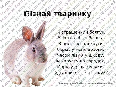 Презентація Особливості будови опису тварини 5 клас НУШ