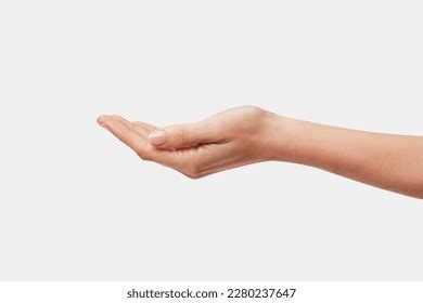 Womans Hand Holding Something Object Stock Photo 2280237645 Shutterstock