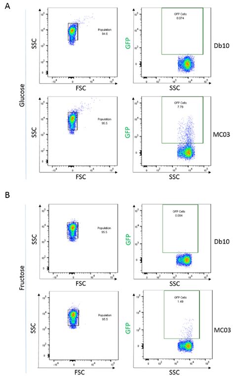 Quantification Of Bimodal Expression Of Gfp Chic By Flow Cytometry Download Scientific Diagram