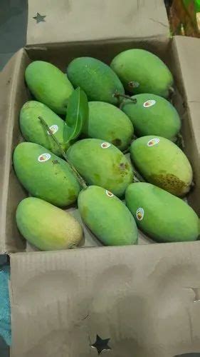 Green A Grade Chausa Mango Carton Packaging Size 7 Kg At Rs 200kg