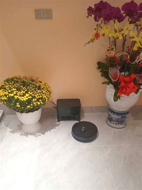 Robot Hút Bụi Lau Nhà Ecovacs Y1 Pro Plus Bản Quốc Tế Mi Việt Nam