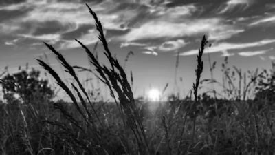 Getting Started With Xilinx OpenCV In Vivado HLS