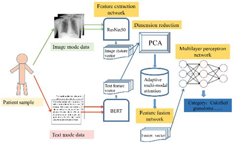 figure 1 from disease classification model based on multi modal feature