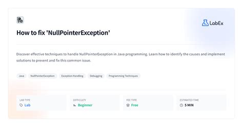 How To Fix Nullpointerexception Labex