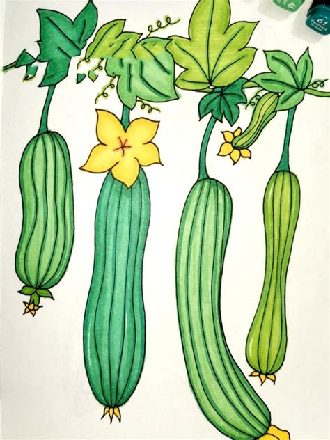 丝瓜儿童画ppt（精选20张） 儿童画图片大全