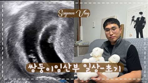 쌍둥이임산부 브이로그 초기입덧바느질태교먹고 게워내는 일상 Youtube