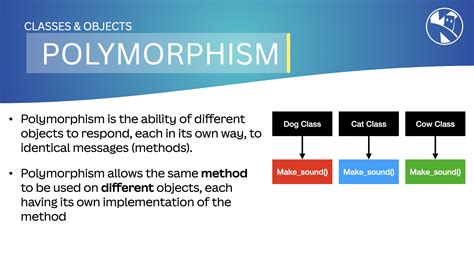 Polymorphism