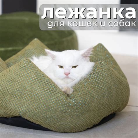 Лежанка для кошек и собак купить на Ozon по низкой цене 1719100159