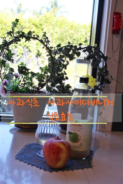 다양한 사과 식초효능 애플사이다비니거 네이버 블로그
