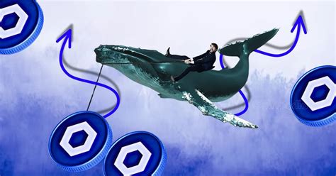 Link Whales Buy 14 Million Tokens Chainlinks 20 Rally Ahead